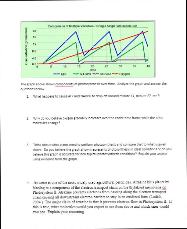 The graph above shows components of photosynthesis | Chegg.com