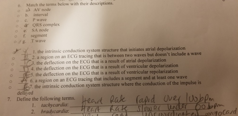 Solved Match the terms below with their descriptions. o al | Chegg.com