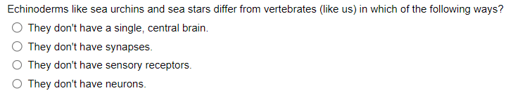 Solved Echinoderms like sea urchins and sea stars differ | Chegg.com