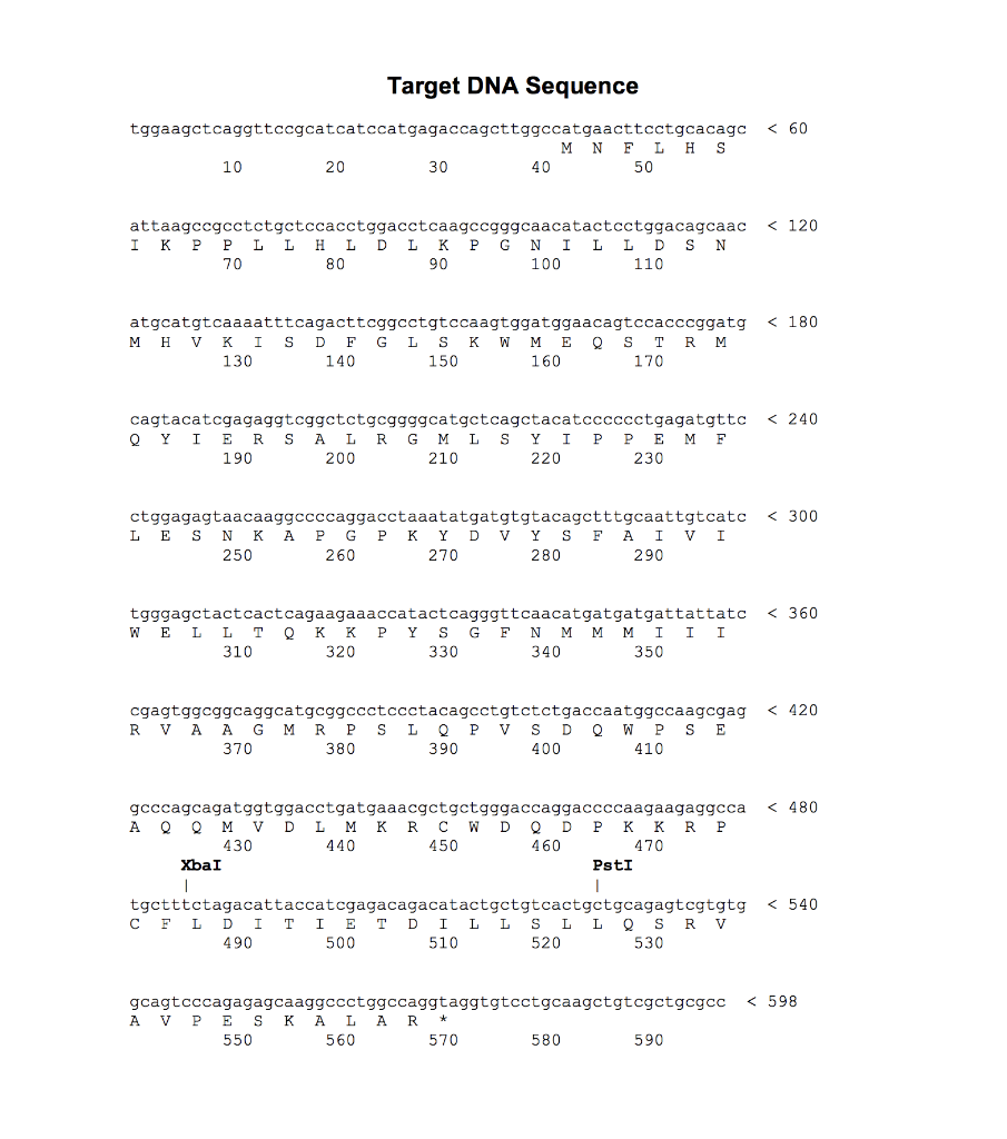 Solved Copy the target DNA sequence image given below. | Chegg.com