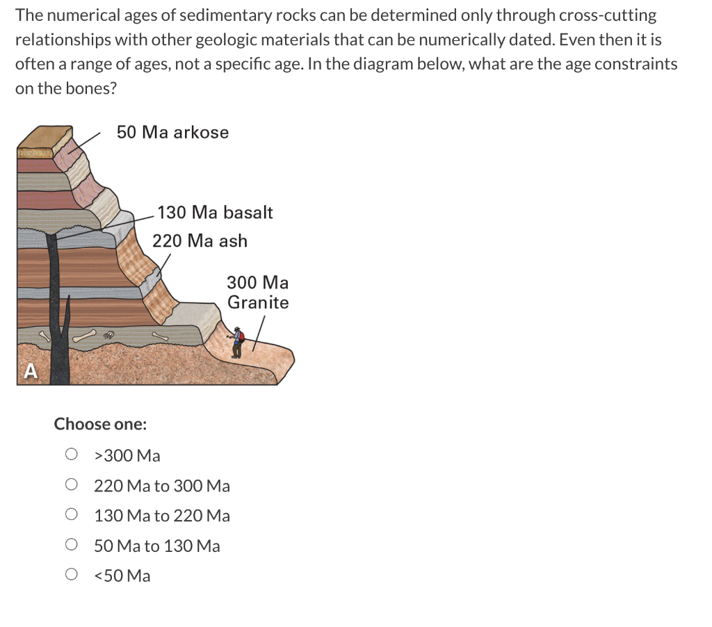 Solved The numerical ages of sedimentary rocks can be | Chegg.com