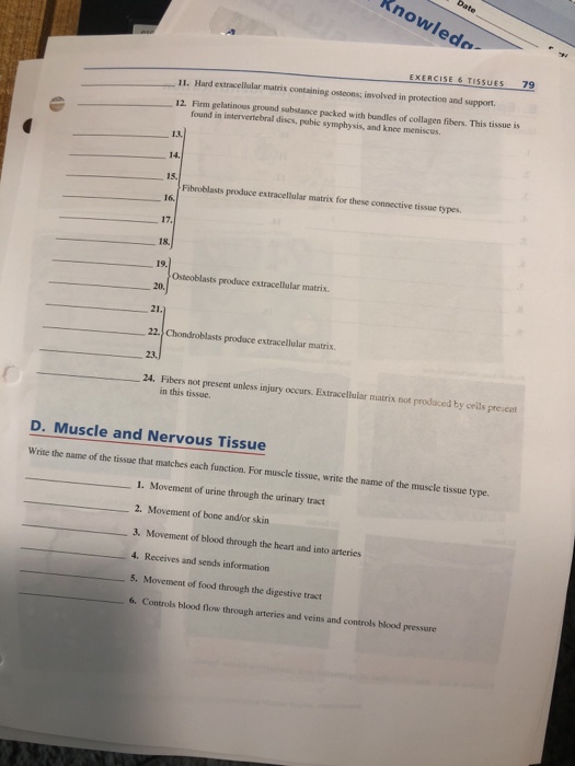 Solved Date Section Reviewing Your Knowledge EXERCISE 6 A. | Chegg.com