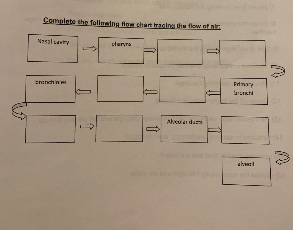 Solved Complete the following flow chart tracing the flow of | Chegg.com