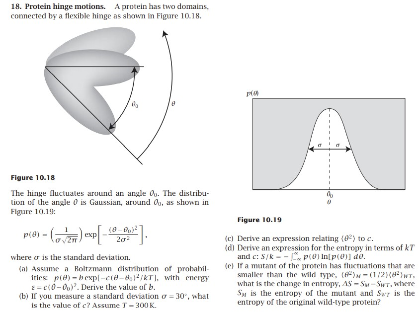 Solved 18. Protein hinge motions. A protein has two domains, | Chegg.com