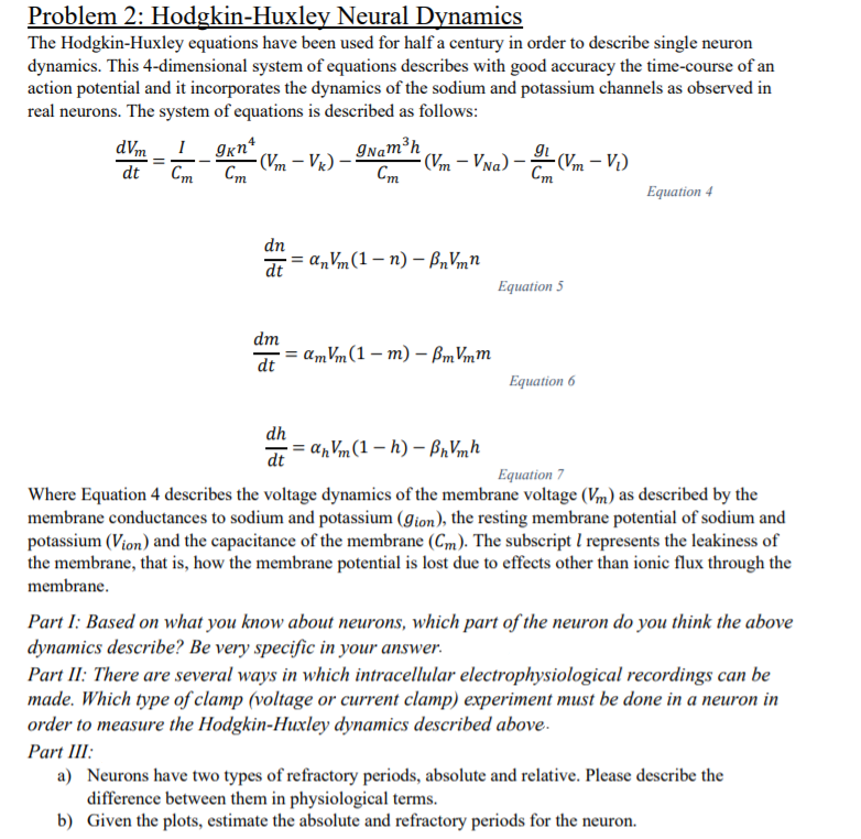Problem 2: Hodgkin-Huxley Neural Dynamics The | Chegg.com