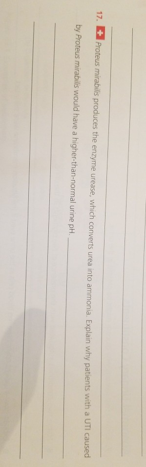 Solved Proteus mirabilis produces the enzyme urease, which | Chegg.com