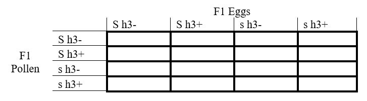 Solved Fill out Punnett Square: | Chegg.com