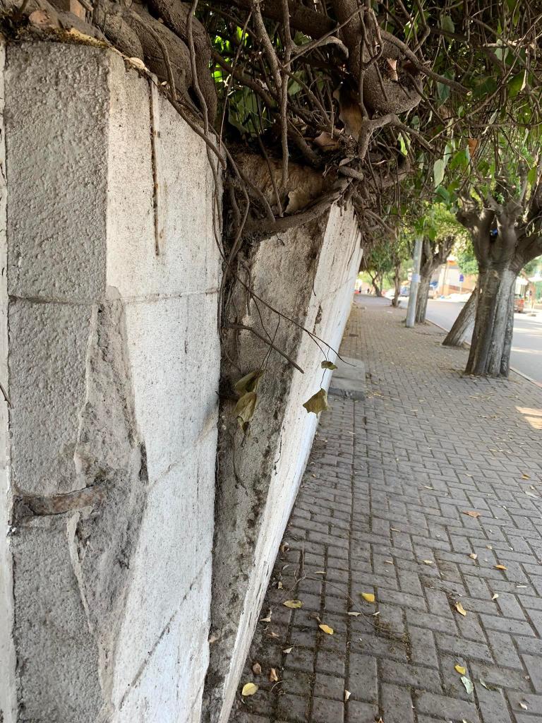 Solved This wall can collapse and fall at any moment and | Chegg.com