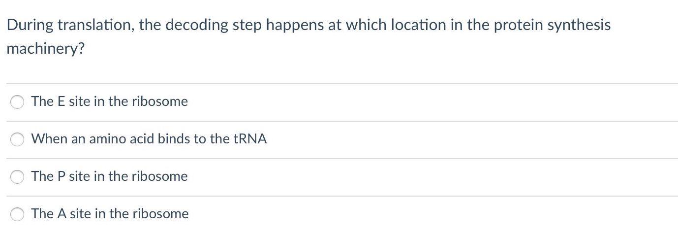 Solved During translation, the decoding step happens at | Chegg.com