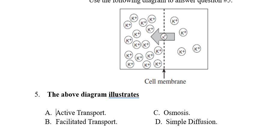 Solved The above diagram illustratesA. ﻿Active Transport.C. | Chegg.com