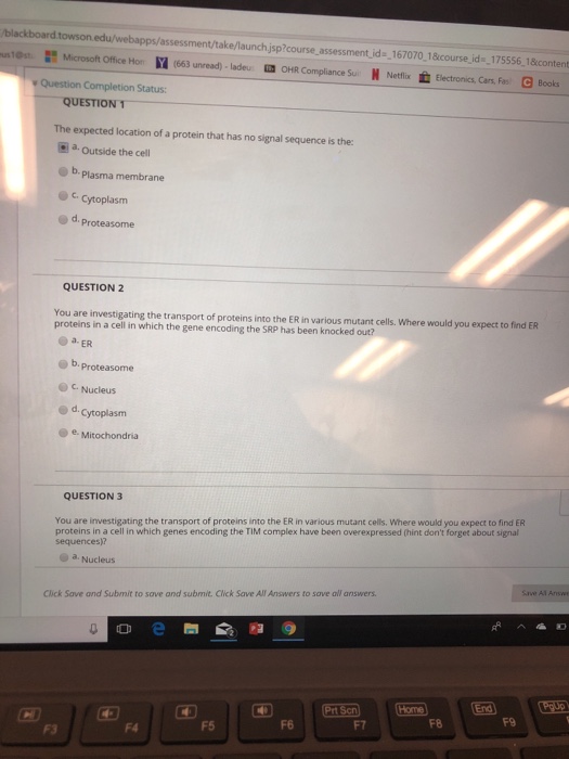 Solved /blackboard to son edu/webapps/assessment/take launch | Chegg.com