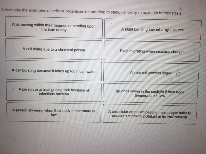Solved Select only the examples of cells or organisms | Chegg.com