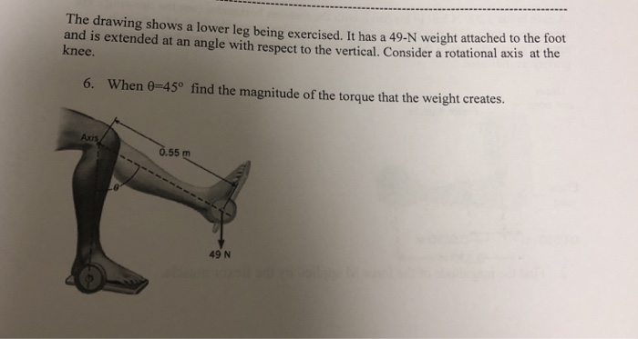Solved The drawing shows a lower leg being exercised, It has | Chegg.com