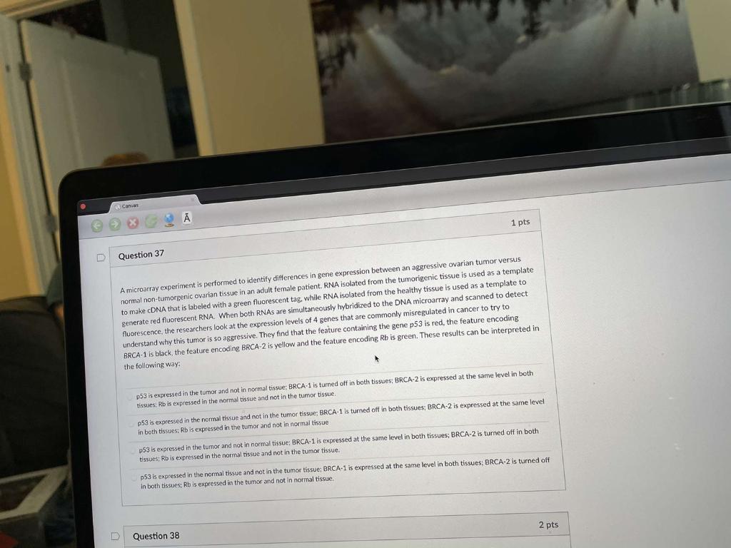 Solved Canvas A 1 pts Question 37 A microarray experiment is | Chegg.com