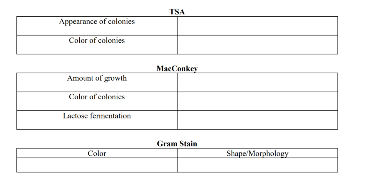 Solved TSA Appearance of colonies Color of colonies | Chegg.com