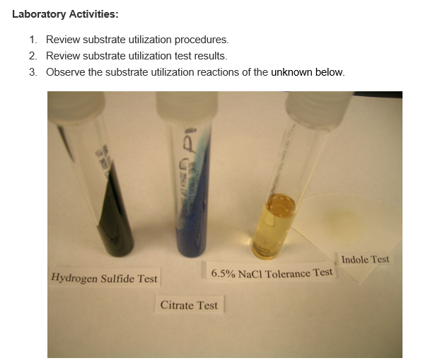 Solved 4. Record the unknown reactions for each substrate | Chegg.com
