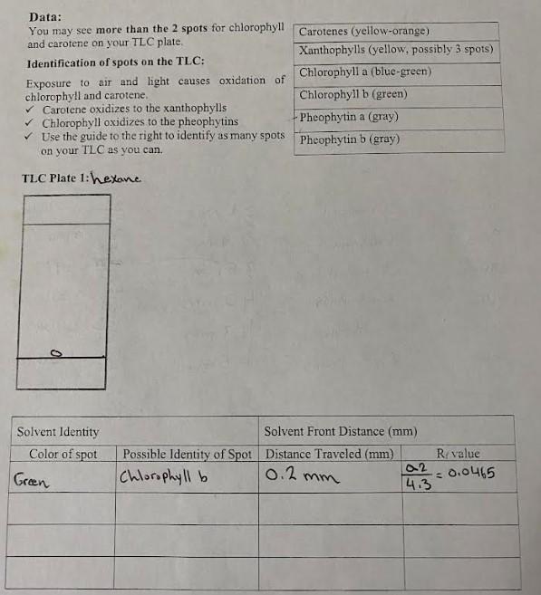 Solved Questions are at the end of the second to last and | Chegg.com