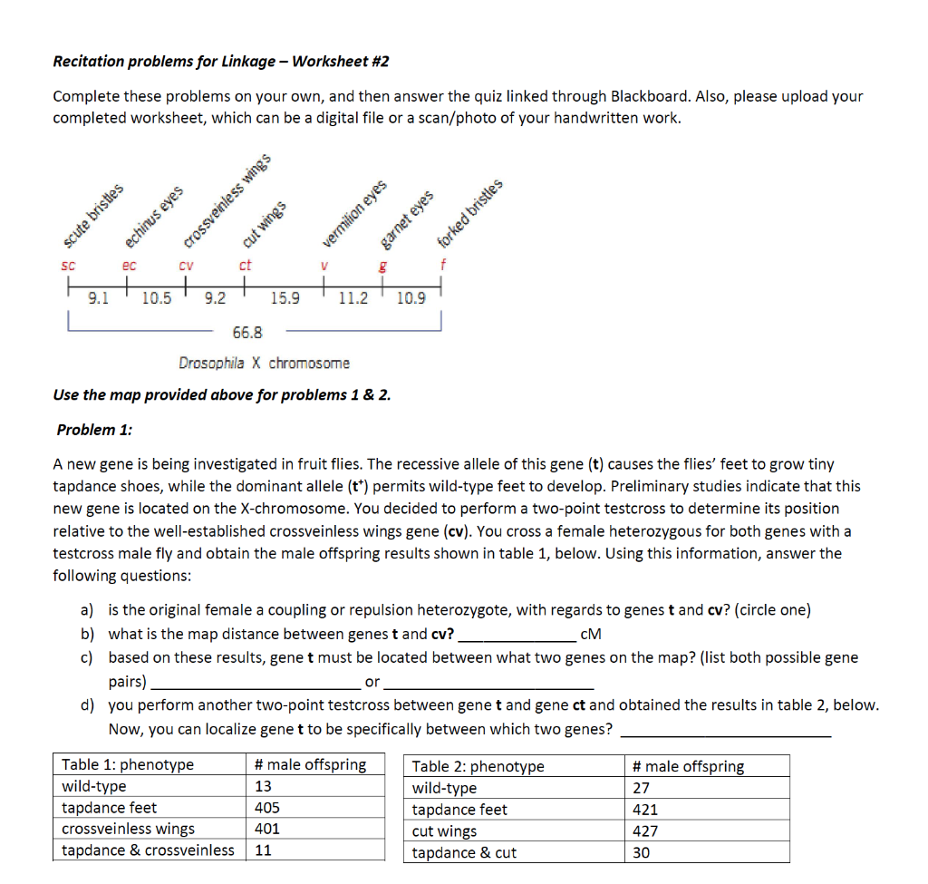 Solved Recitation problems for Linkage - Worksheet #2 | Chegg.com