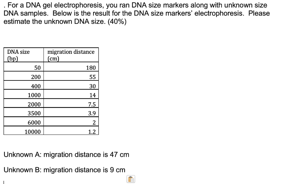 Solved . For a DNA gel electrophoresis, you ran DNA size | Chegg.com