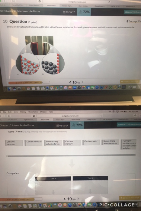 Solved Below are two glass test tubes (a and b) filled with | Chegg.com