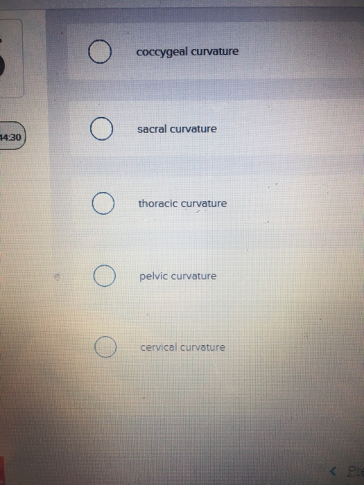 Solved Which structure is highlighted? Multiple Choice | Chegg.com