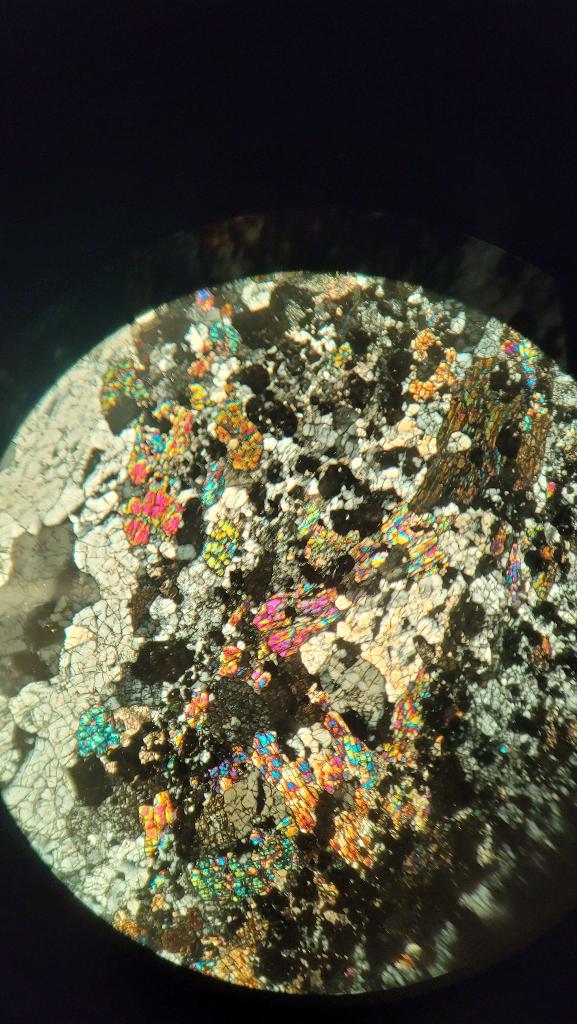 Solved 1) Briefly describe both thin section. 2)Compare and | Chegg.com