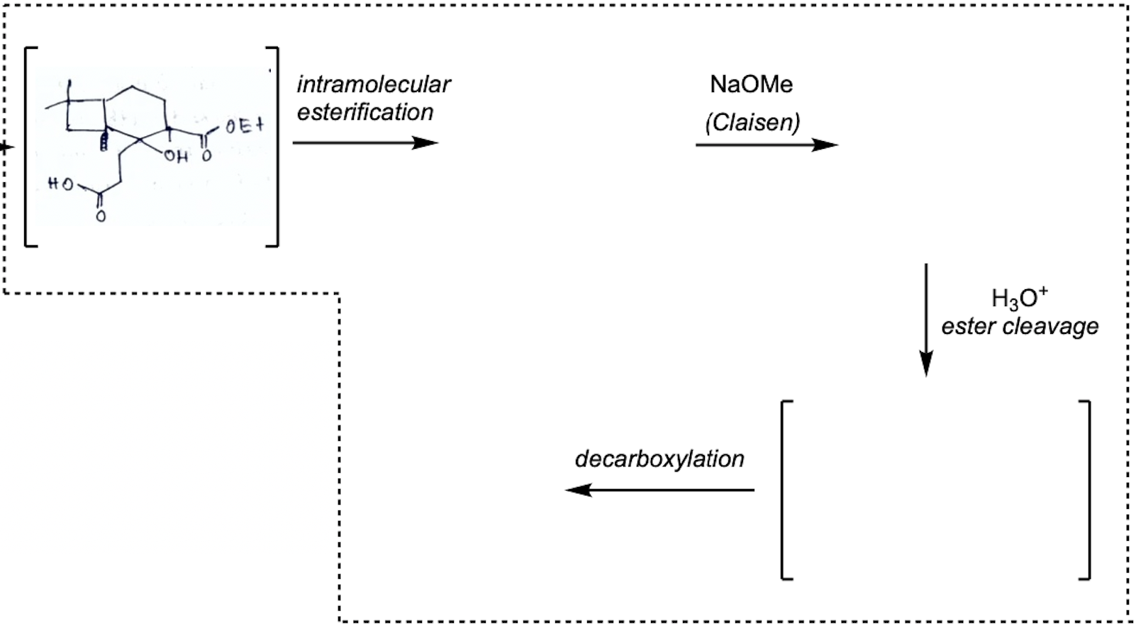 Solved - - - - - - - - - - - - - - - - H3O+ ester cleavage | Chegg.com