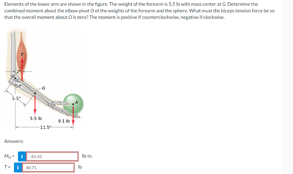 Solved Elements of the lower arm are shown in the figure. | Chegg.com