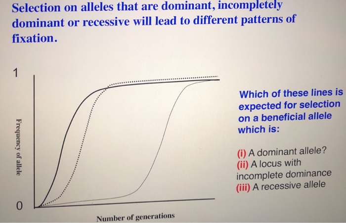 Solved Selection on alleles that are dominant, incompletely | Chegg.com