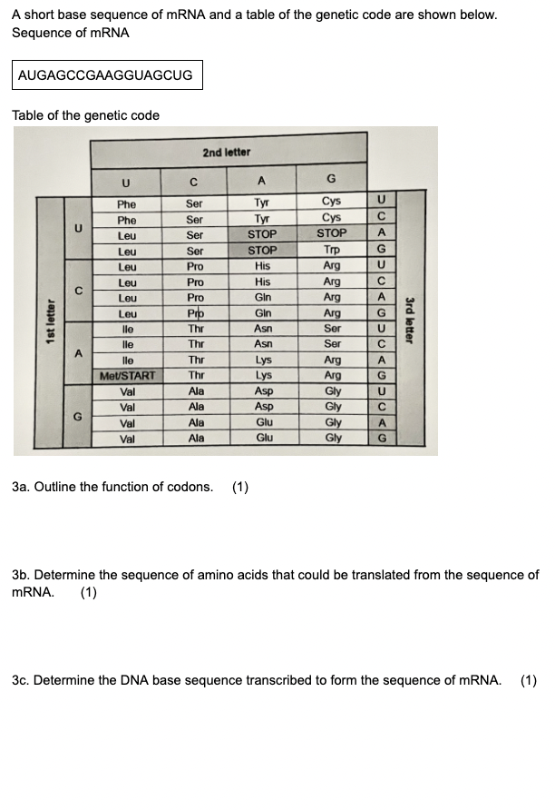 Solved A short base sequence of mRNA and a table of the | Chegg.com