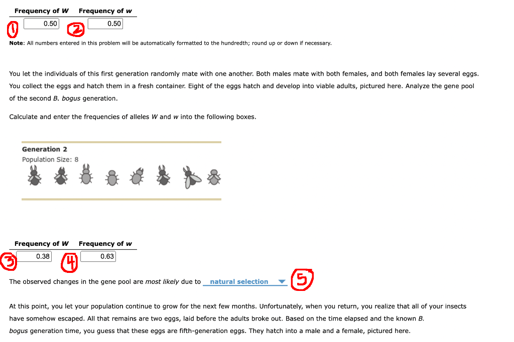1. Population genetics in the lab Direct observation | Chegg.com