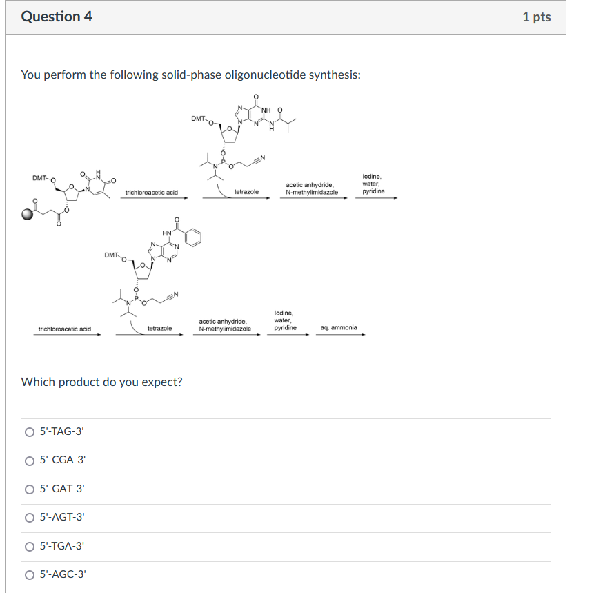 Solved Question 4 1 pts You perform the following | Chegg.com