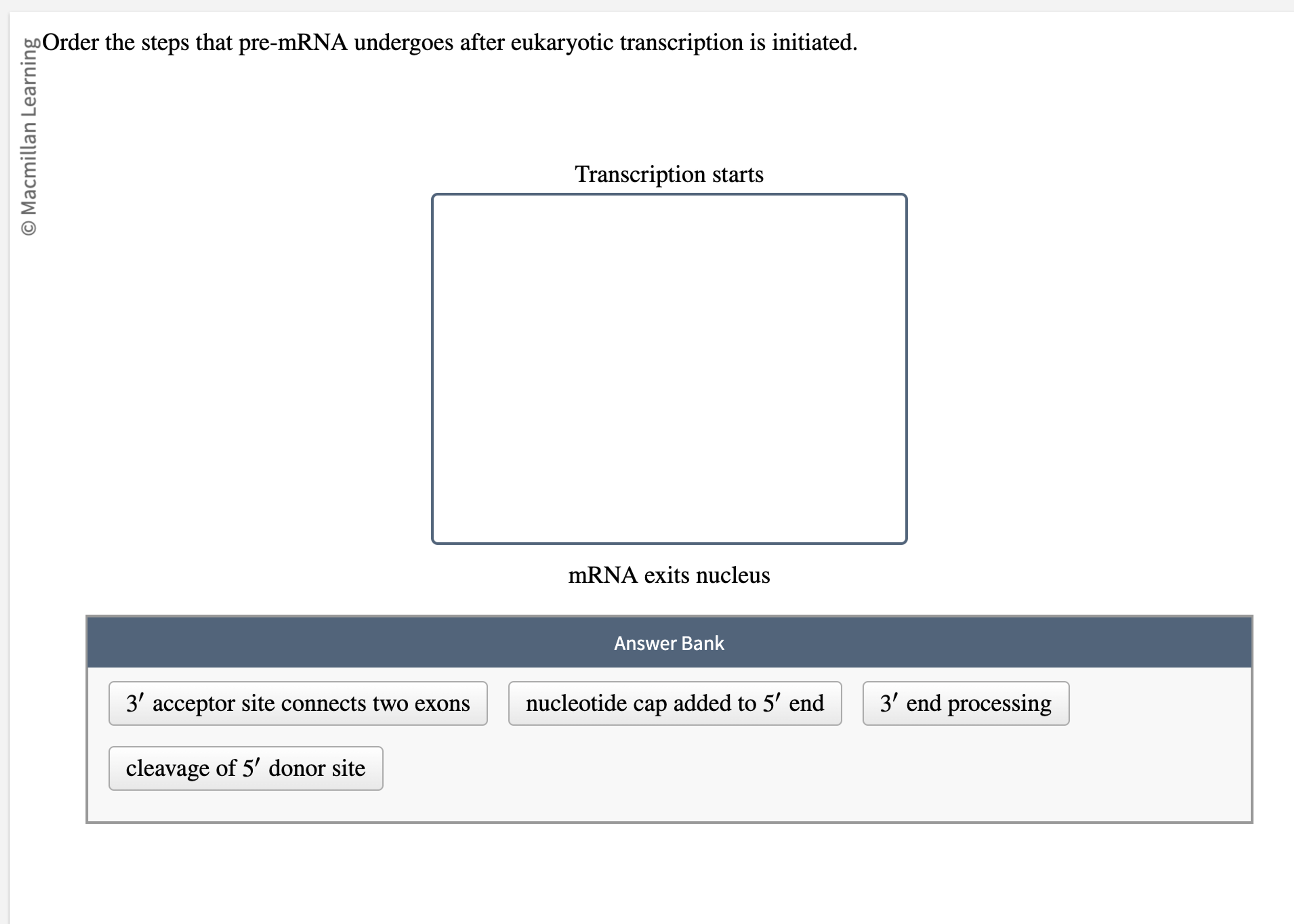 Solved Order the steps that pre-mRNA undergoes after | Chegg.com