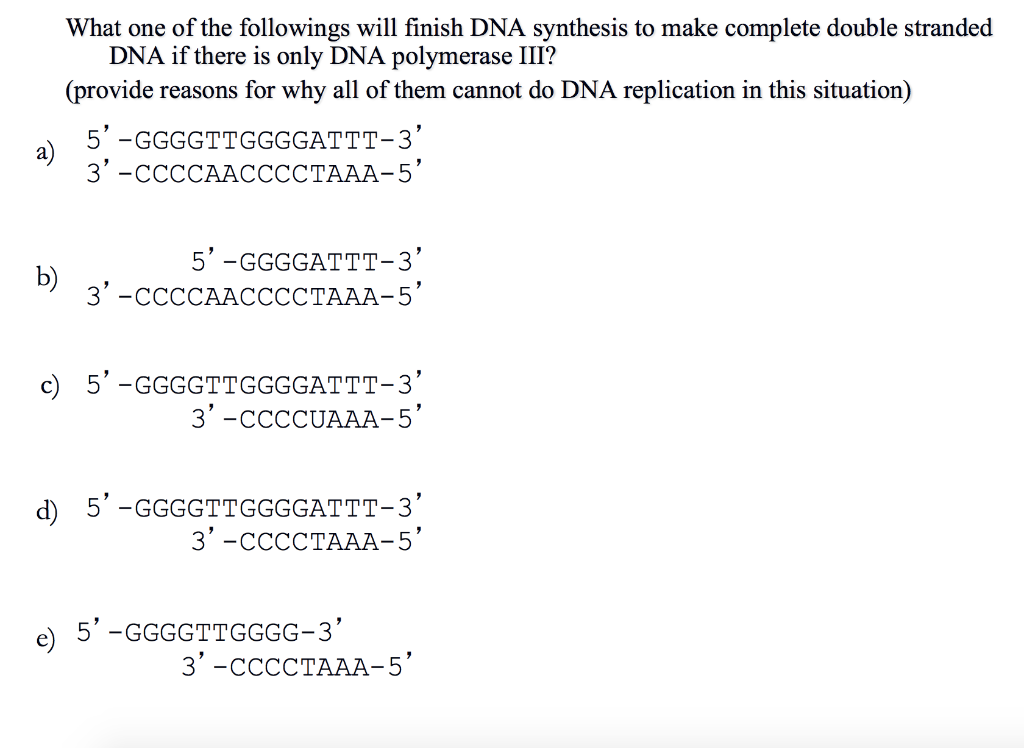 Solved What one of the followings will finish DNA synthesis | Chegg.com