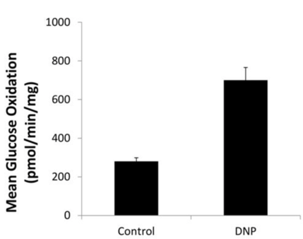 Solved The graph below is from the experiment described. The | Chegg.com