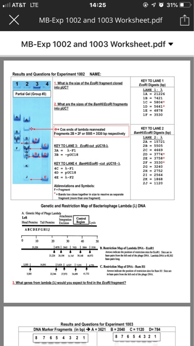 AT&T LTE 14:25 MB.Exp 1002 and 1003 Worksheet.pdf [1] | Chegg.com