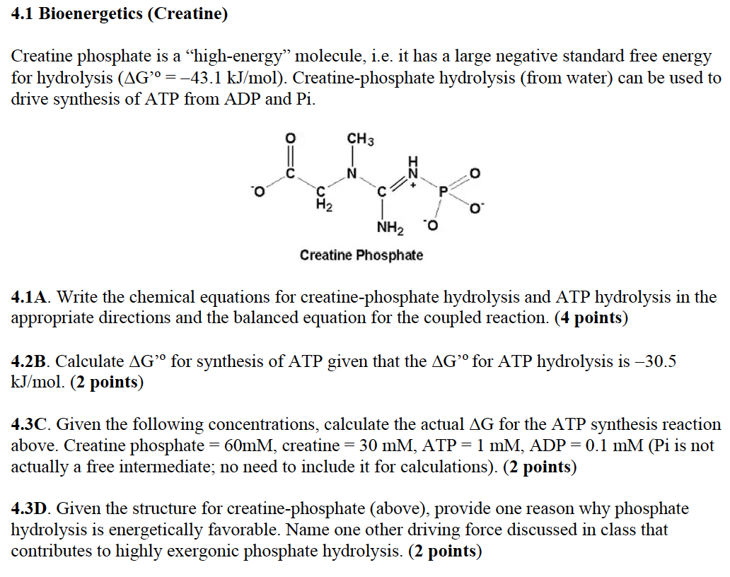 4.1 Bioenergetics (Creatine) Creatine phosphate is a | Chegg.com