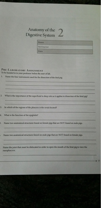 Solved Anatomy of the Digestive System PRE-LABORATORY | Chegg.com