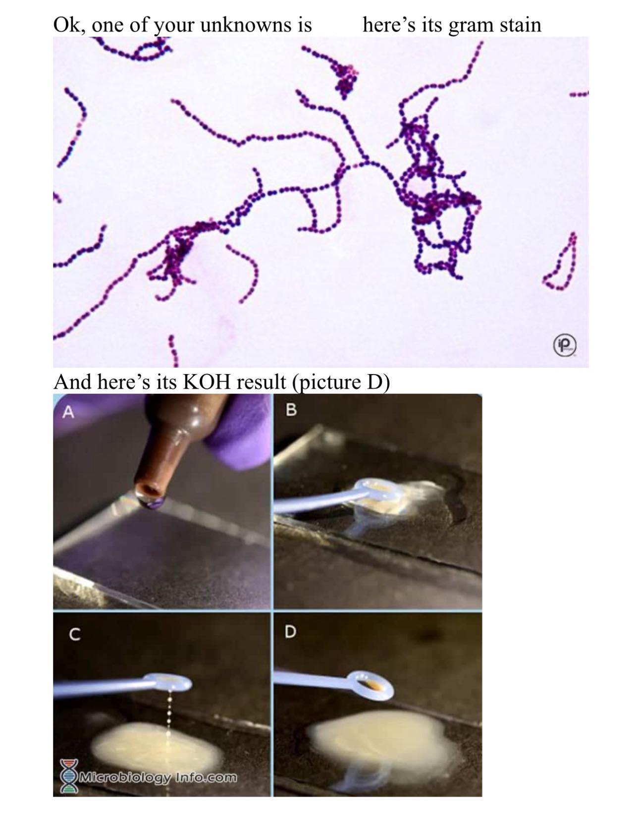 Please use the picture that I provided to answer the | Chegg.com