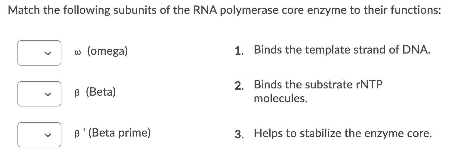 Solved Match the following subunits of the RNA polymerase | Chegg.com