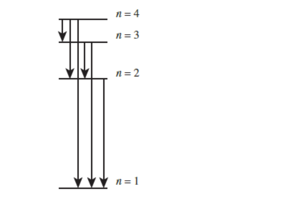 Solved n = 4 n = 3 n = 2 n = 1 Consider only the | Chegg.com