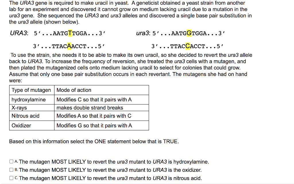 Solved The URA3 gene is required to make uracil in yeast. A | Chegg.com