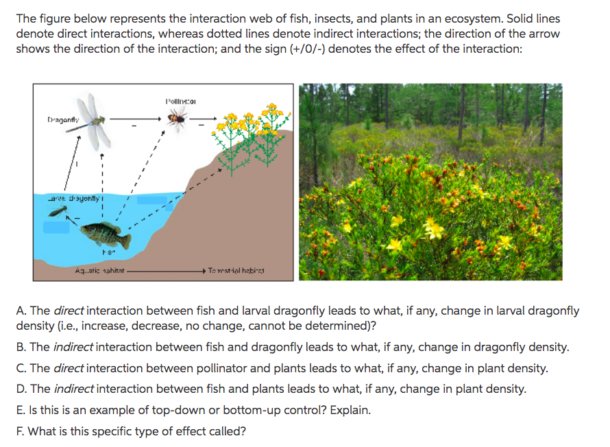 Solved The figure below represents the interaction web of | Chegg.com