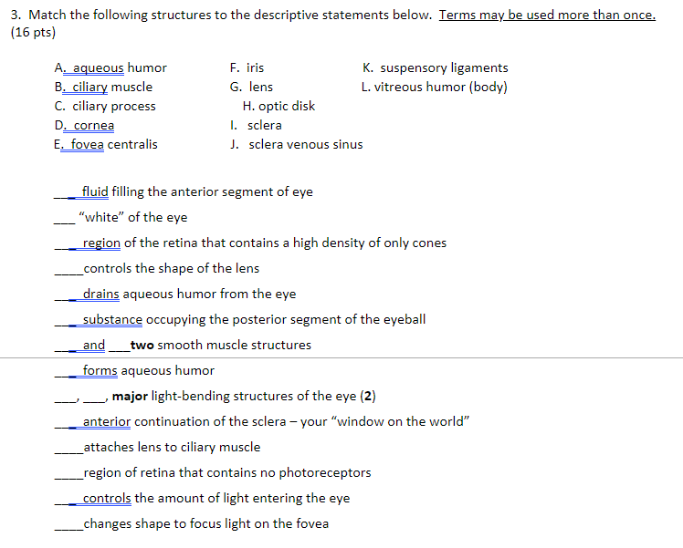 Solved 2. Match each description to the correct tunic. (6 | Chegg.com