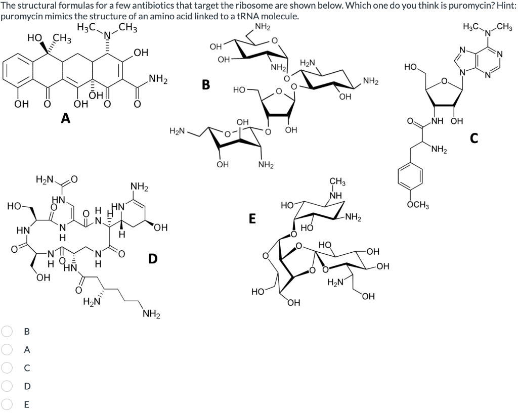 Solved he structural formulas for a few antibiotics that | Chegg.com