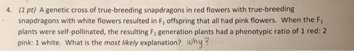 Solved (1pt) A genetic cross of true-breeding snapdragons in | Chegg.com