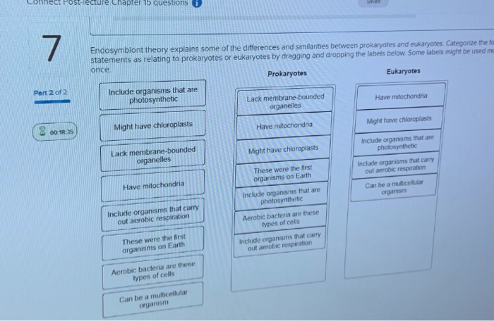 Solved Connect rost-lecture chapter is questions G 7 | Chegg.com