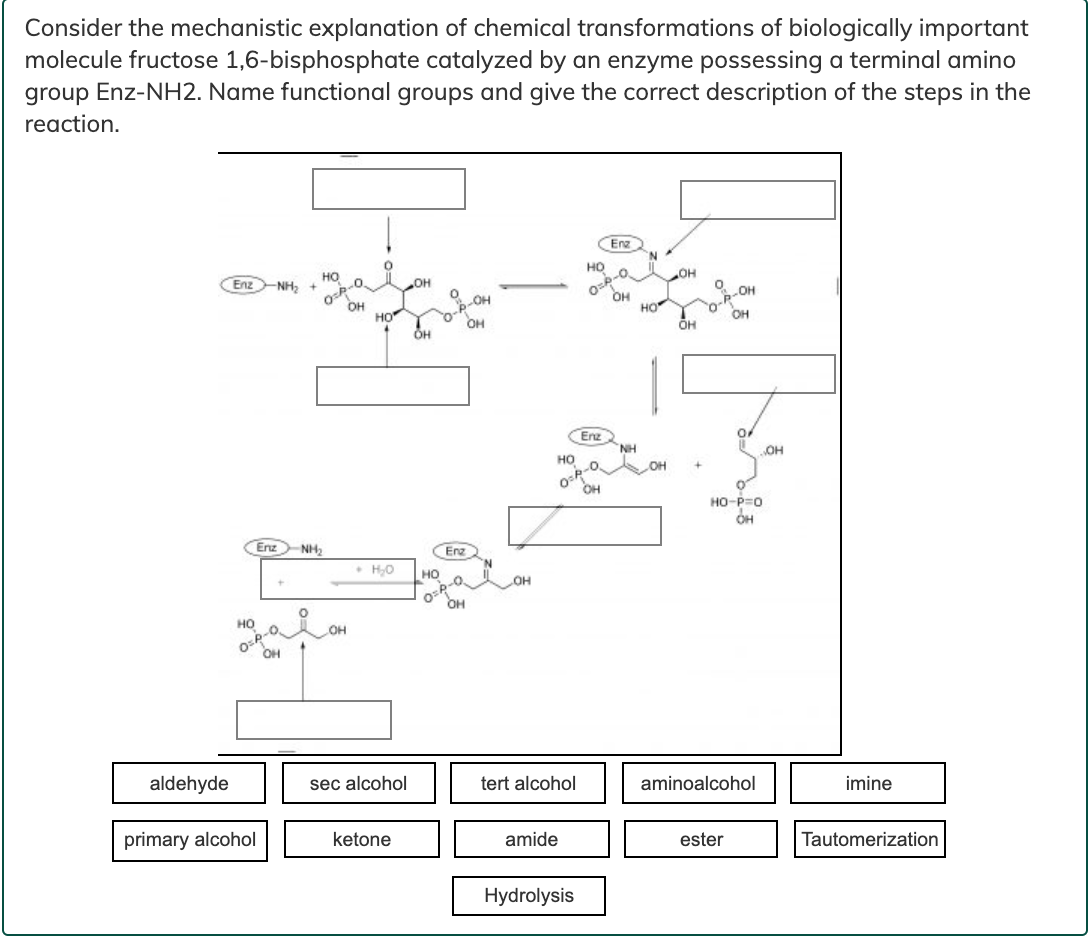 Solved Consider the mechanistic explanation of chemical | Chegg.com