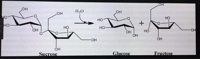 Solved I want to know energy diagram for sucrose hydrolysis | Chegg.com