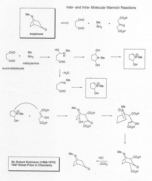Solved Fill in the Robinson Tropinone Synthesis. Inter- and | Chegg.com